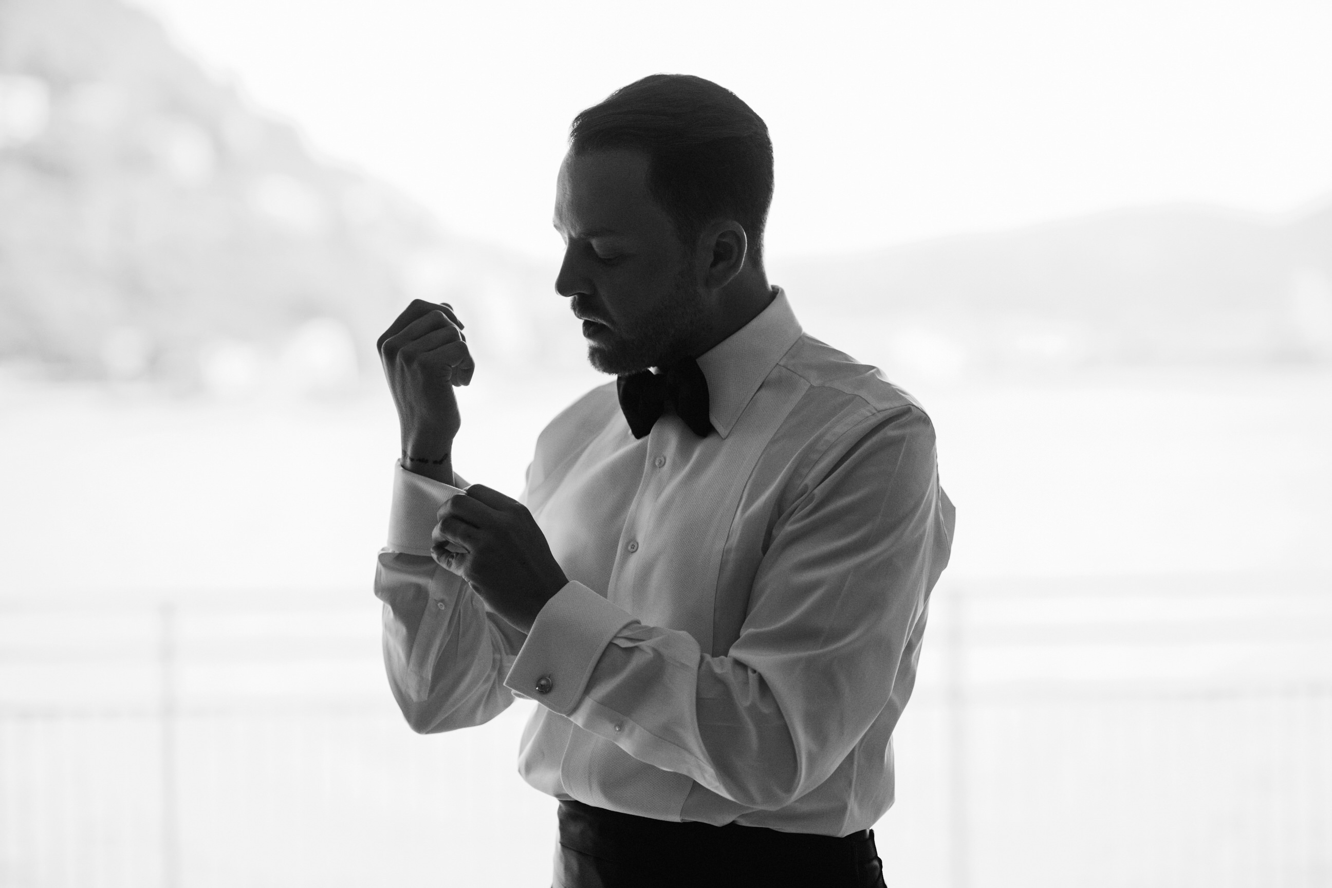 Ledion Liço | Official Website